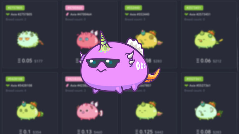 Axie Infinity Meta Breakdown - February 24, 2022