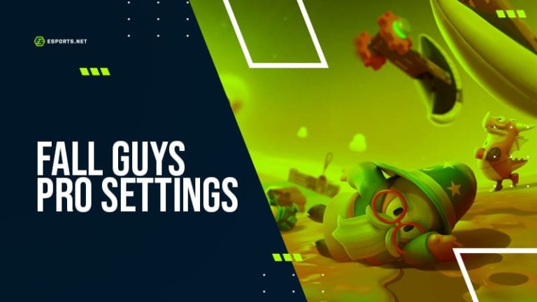 Fall Guys Settings: Best Fall Guys Settings for PC & PS4 Users