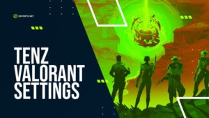 TenZ VALORANT Settings » Pro Settings Use by TenZ in 2024