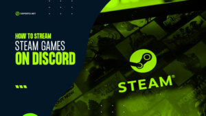 How to Stream Steam Games on Discord ᐈ The Total Guide