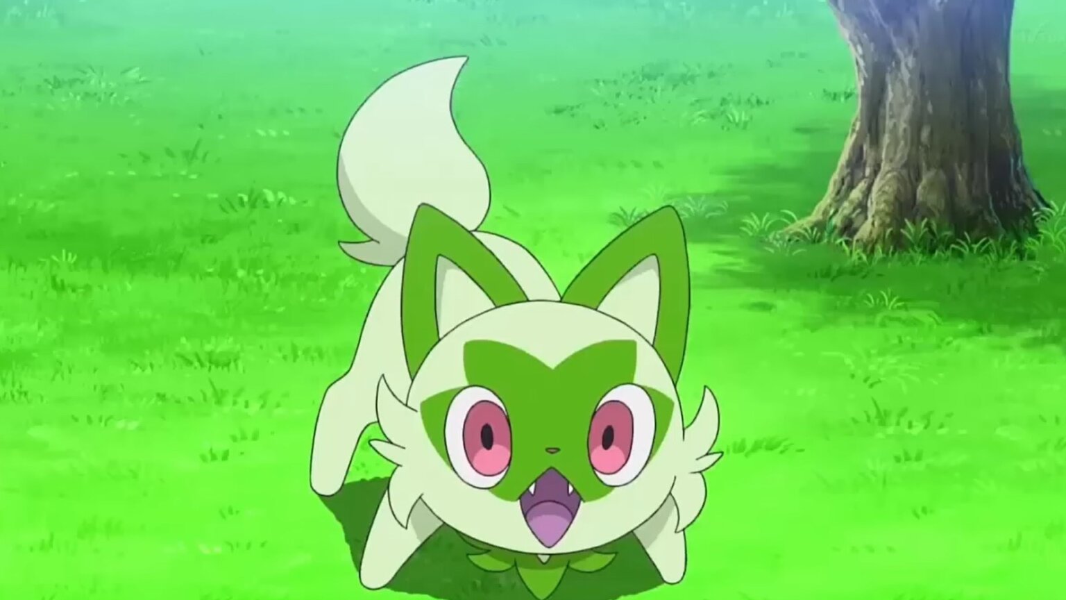 All cat Pokémon throughout the franchise