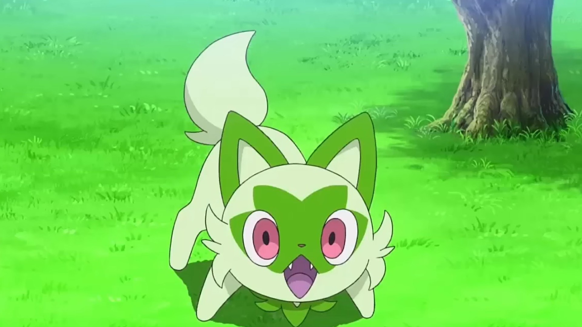 All cat Pokémon throughout the franchise