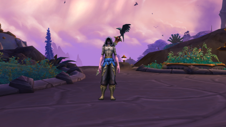 World of Warcraft Transmog Guide | Learn all About Transmogs
