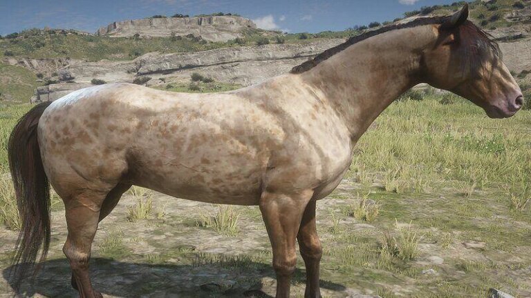 The Best Horse In RDR2 | Finding and Taming the Best Horse