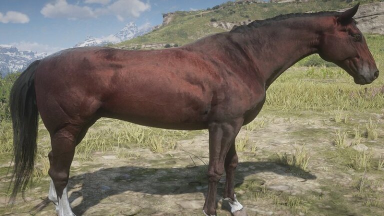 The Best Horse In RDR2 | Finding and Taming the Best Horse