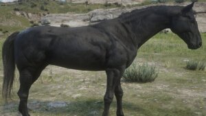 The Best Horse In RDR2 | Finding and Taming the Best Horse