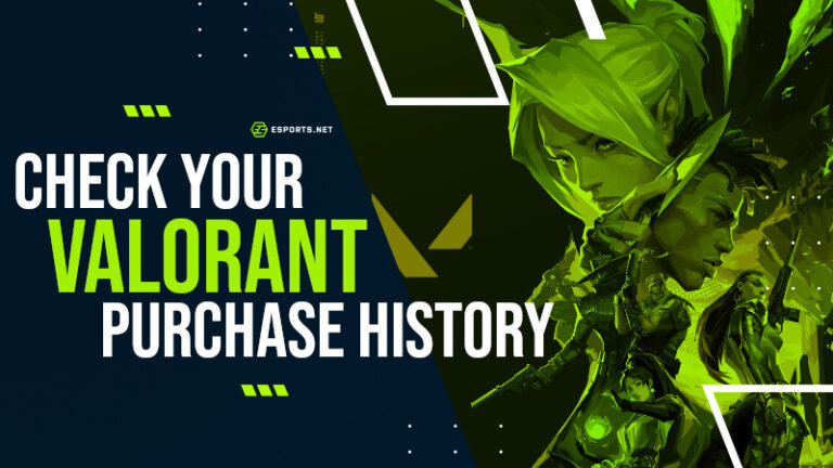 VALORANT Purchase History Guide ★ How Much Have You Spent?