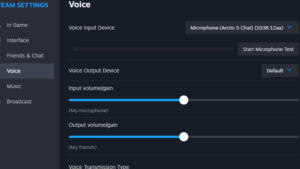 Fix CS2 mic not working bug | Every solution you need