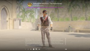 The Best Agent Skins in CS2