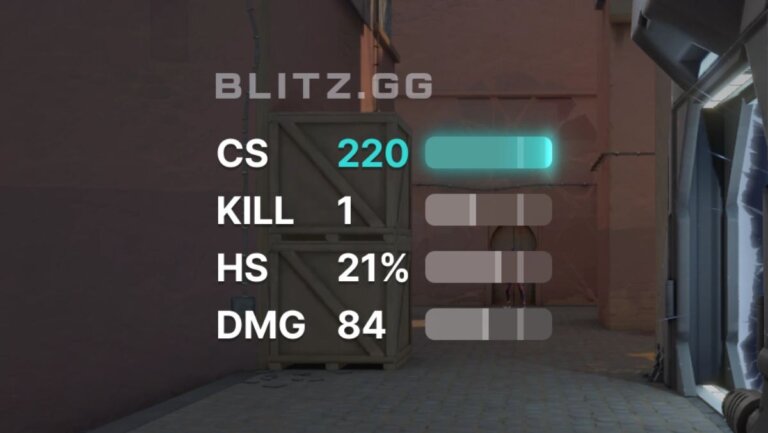 How to unprivate your VALORANT profile in Blitz