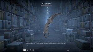 Best Karambit Skins in CS2, Ranked