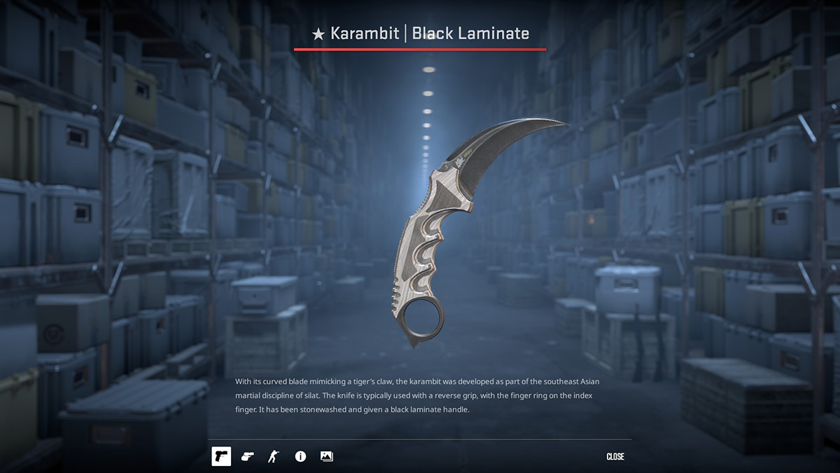 Best Karambit Skins in CS2, Ranked