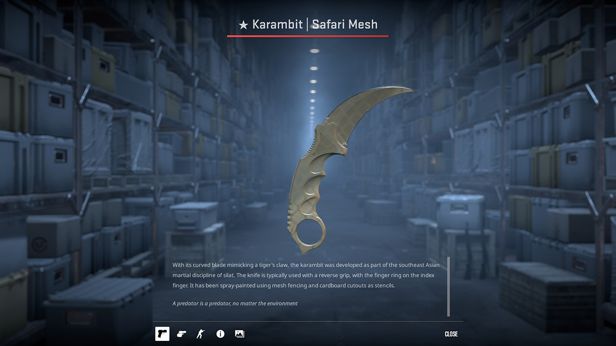Best Karambit Skins in CS2, Ranked
