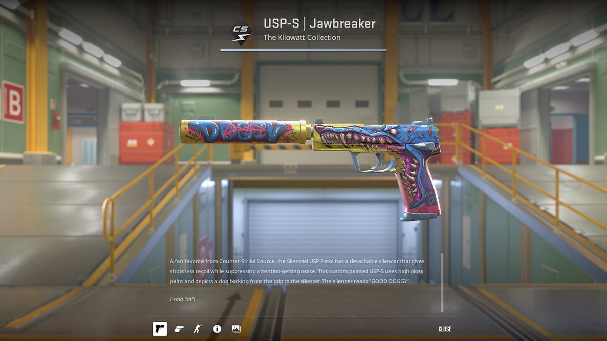 Best USP skins in CS2, ranked
